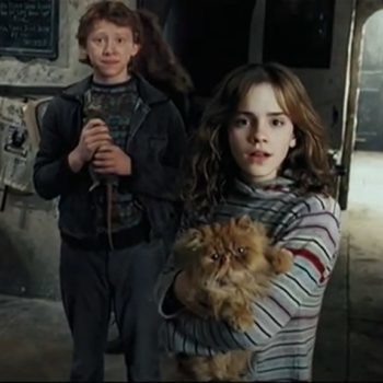 Top Ginger Kitties - The 6 Orange Cats in Sci Fi and Fantasy Movie ...