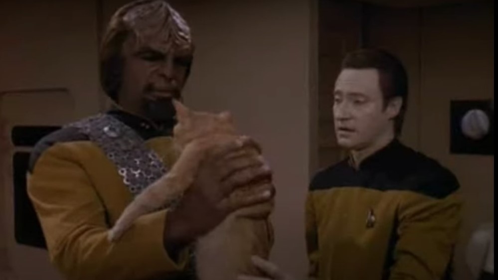 Top Ginger Kitties – The 6 Orange Cats in Sci Fi and Fantasy Movie ...