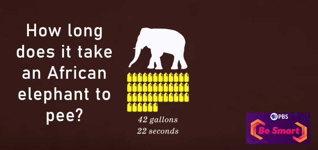 How long does it take you to pee? – RunPee