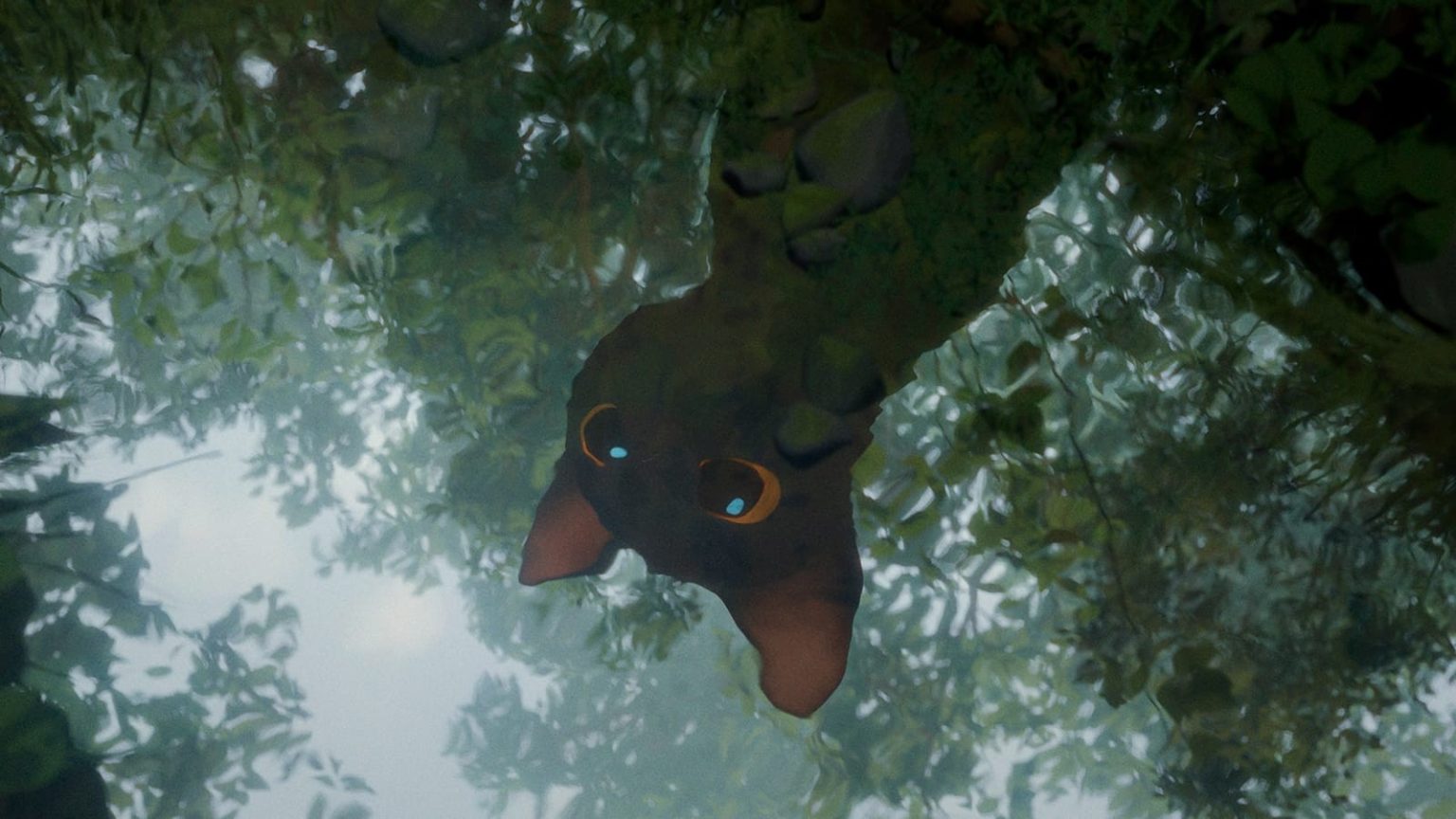 Movie Review—Flow – RunPee